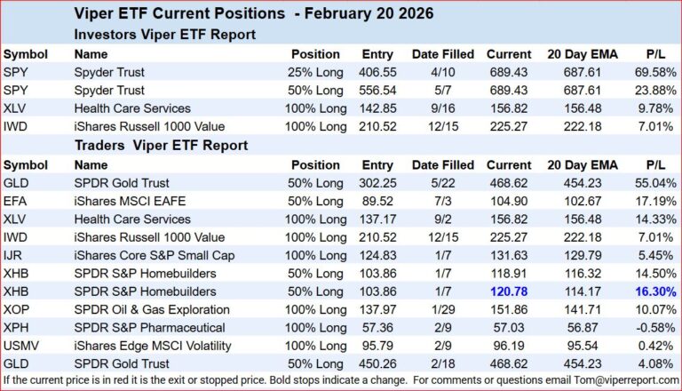 Viper ETF & Viper Hot Stock Positions – February 20, 2026 Close
